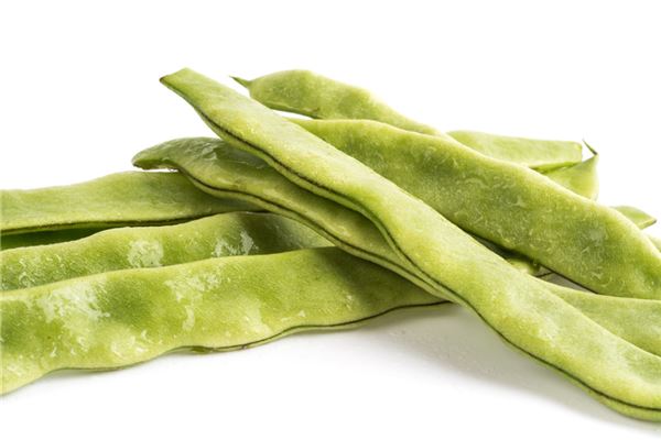 Dream of Abundant Beans - Omen of Plenty & Fertility