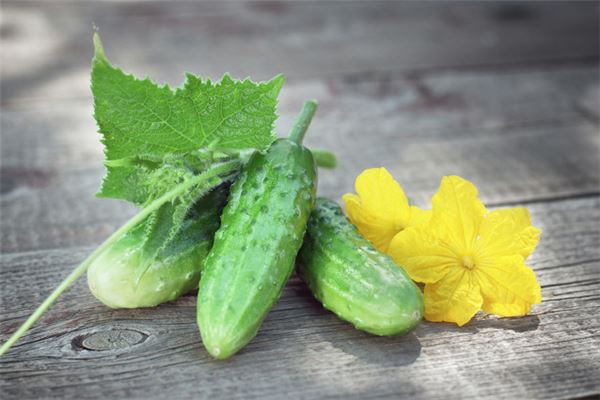Dreaming of cucumbers — means a boy? Omen Explained – Longhu Mountain Store