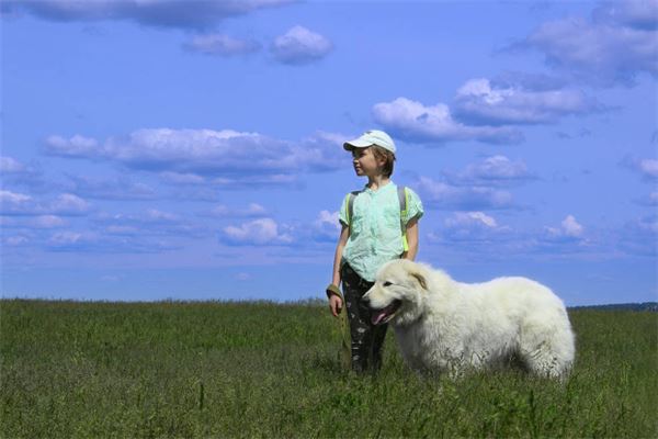 The Dream omen of a dog licking you – Meaning & Warnings