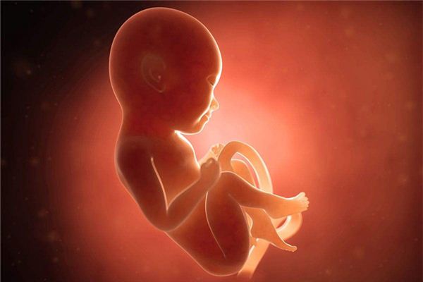 What Does It Mean to Dream of a Fetus? Zhou Gong Insights